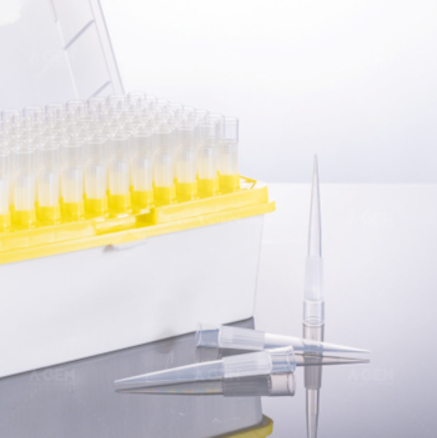 LTS Tips | 伯新科技股份有限公司